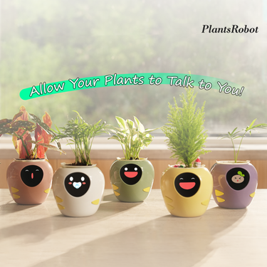 Smart Plant Pot - Allow your plants talk to you - PlantsRobot – Plantsrobot