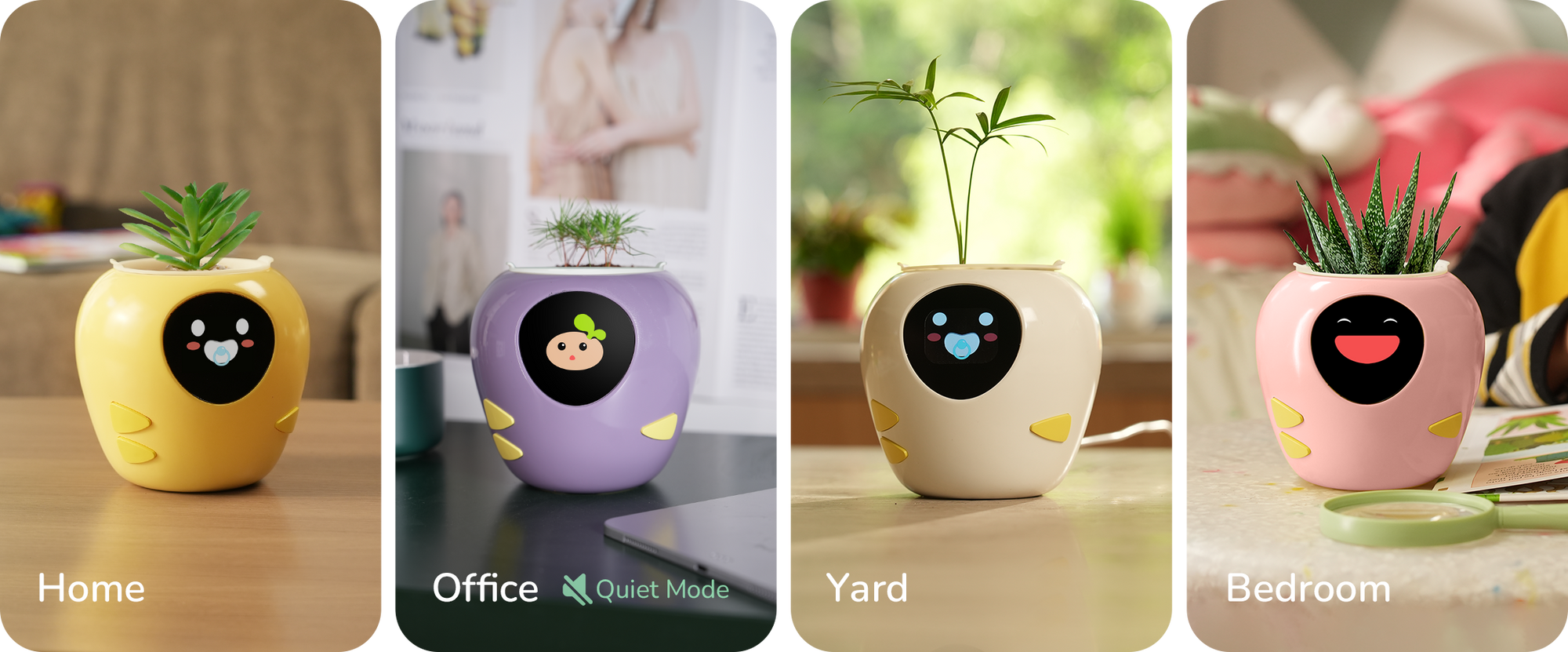 Smart Pet Planter - Plantbot – Plantsrobot