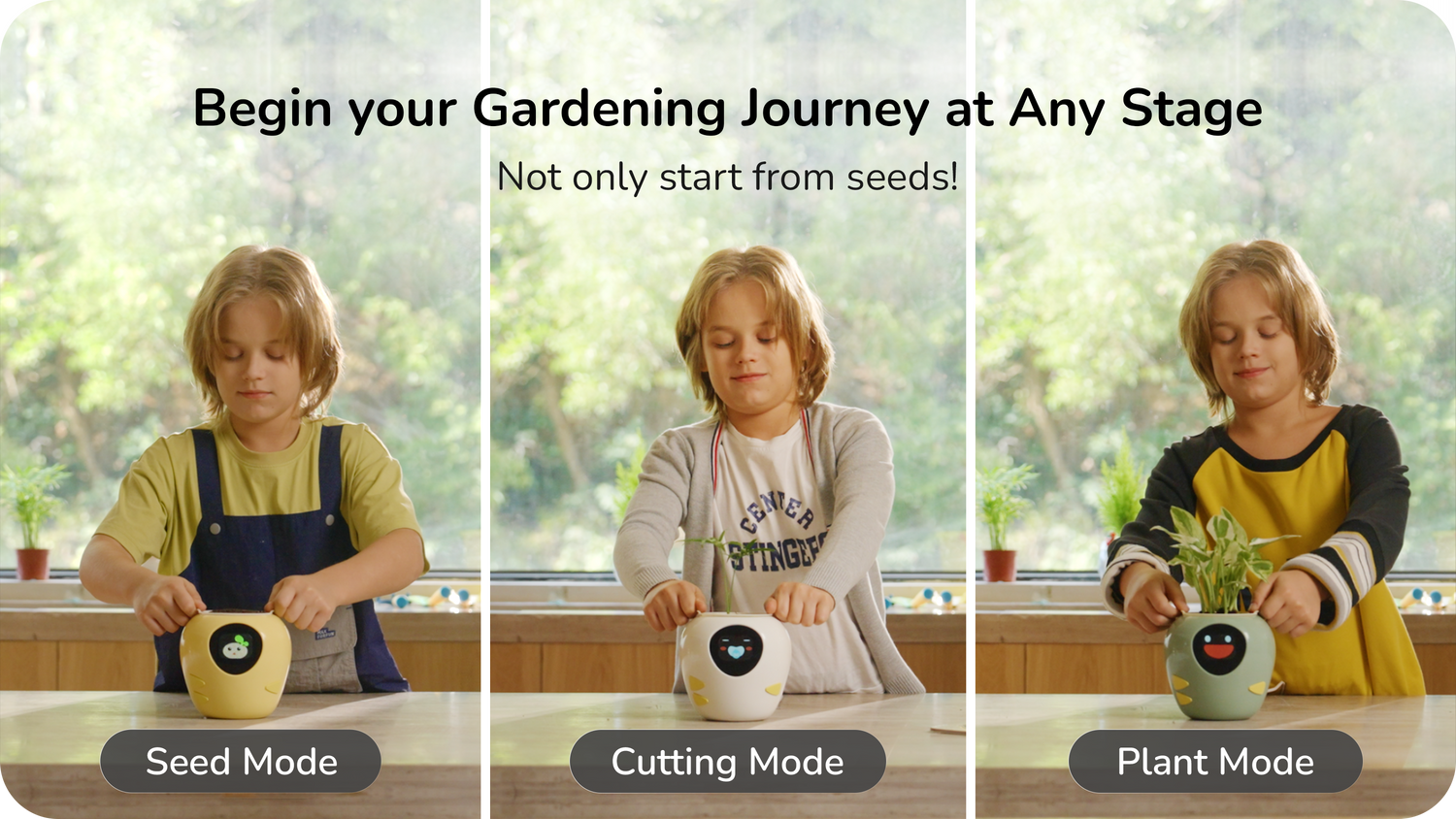 Smart Pet Planter - Plantbot – Plantsrobot