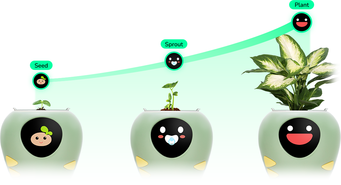 Smart Pet Planter - Plantbot - PRE-ORDER – Plantsrobot