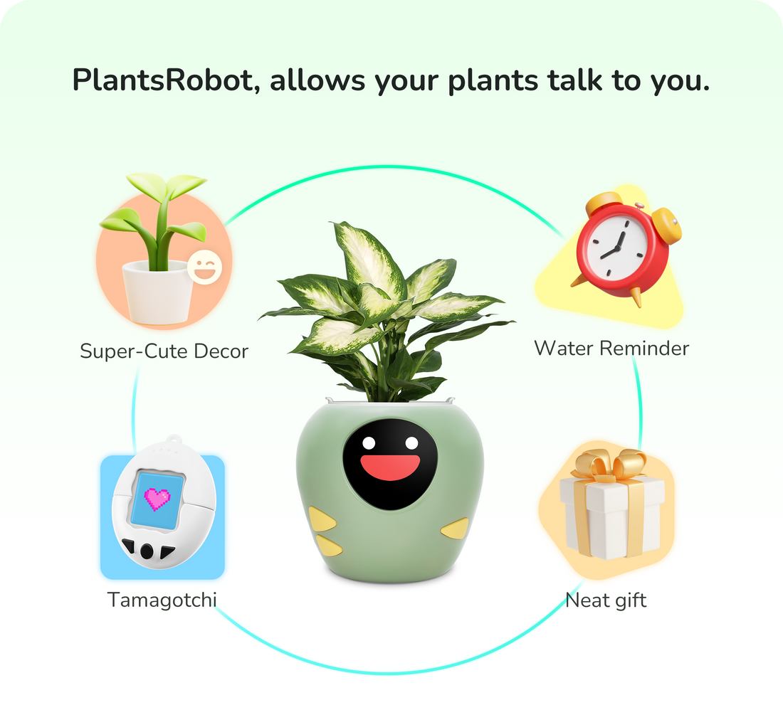 Smart Plant Pot - Allow your plants talk to you - PlantsRobot – Plantsrobot