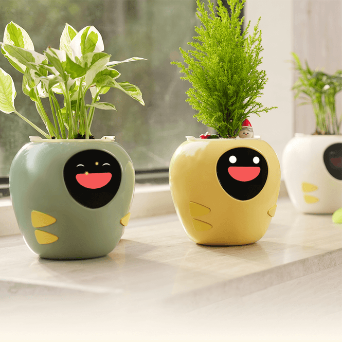 Smart Planter Robot That Talks to You | PlantsRobot – Plantsrobot