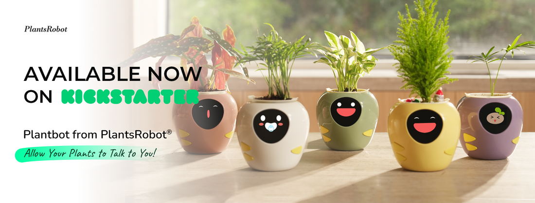 Smart Plant Pot - Allow your plants talk to you - PlantsRobot – Plantsrobot