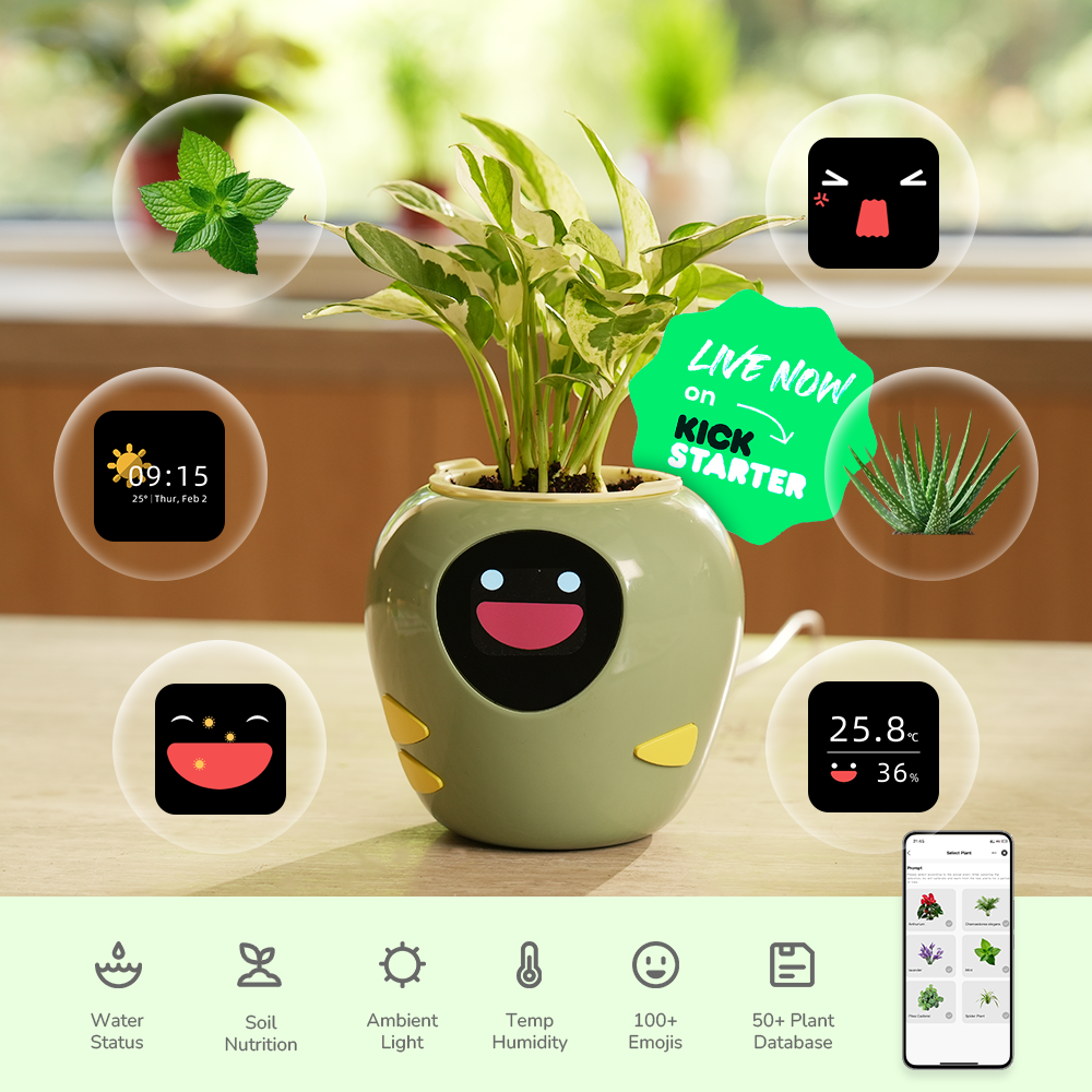 Smart Plant Pot - Allow your plants talk to you - PlantsRobot – Plantsrobot
