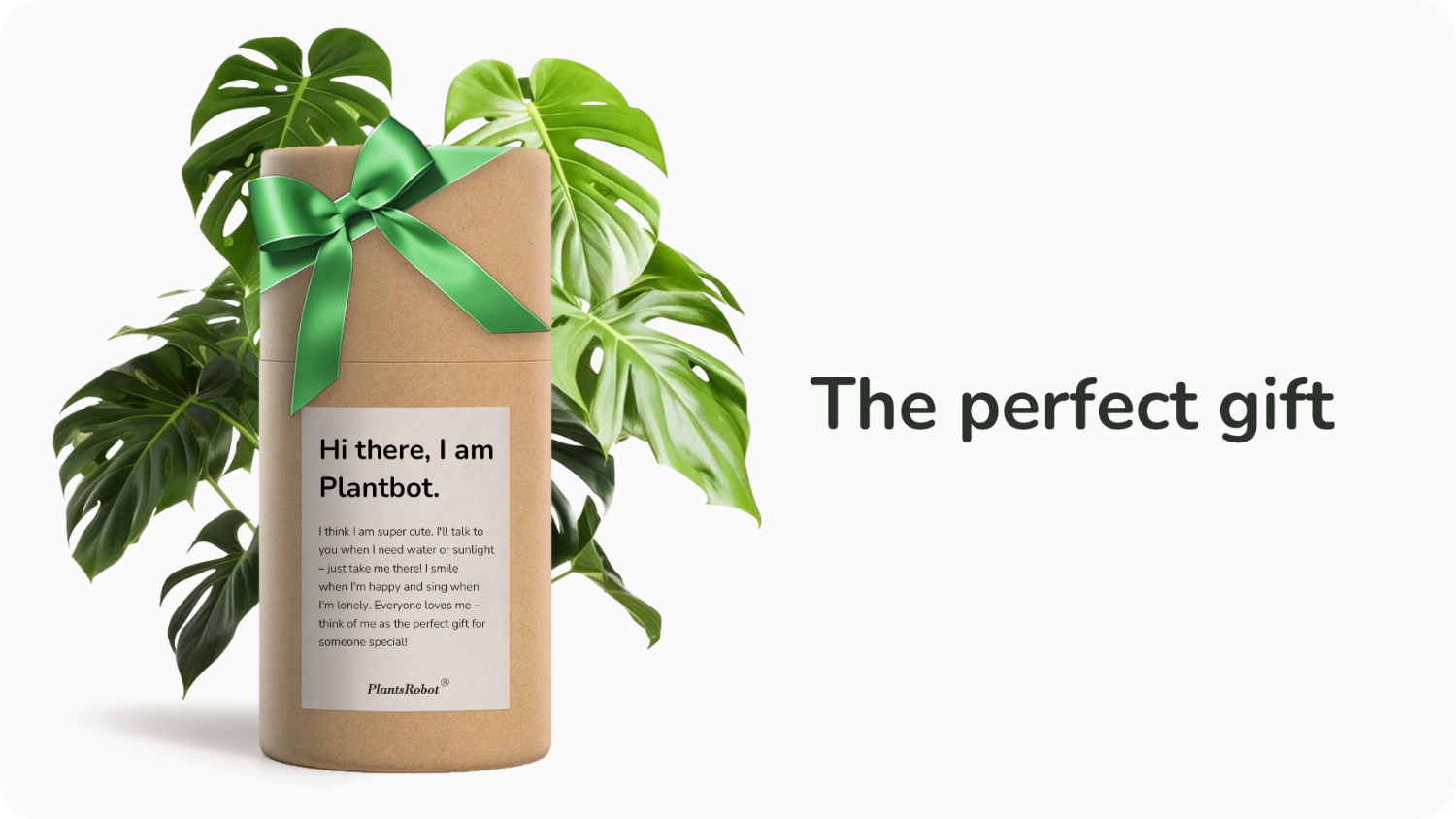 Smart Plant Pot - Allow your plants talk to you - PlantsRobot – Plantsrobot