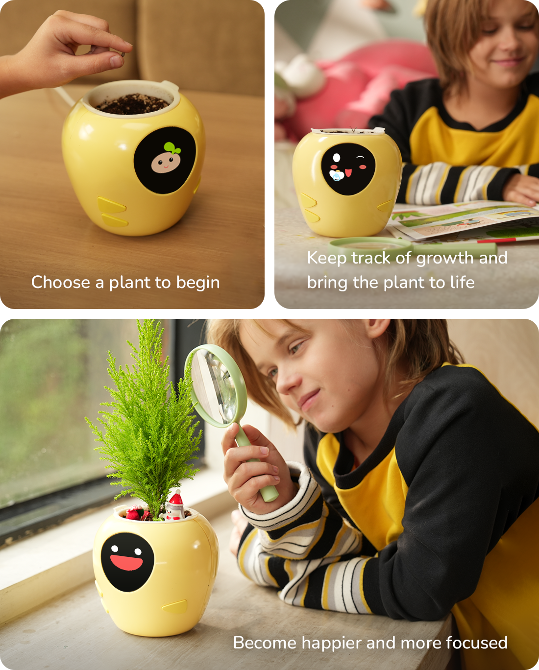 Smart Plant Pot - Allow your plants talk to you - PlantsRobot – Plantsrobot