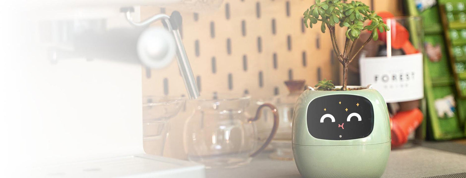 Smart Plant Pot - Allow your plants talk to you - PlantsRobot – Plantsrobot